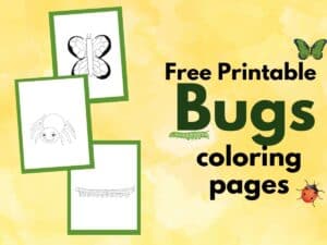 6 Bugs and Insect Coloring Pages - She's Your Friend