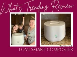 Lomi Smart Composter Review (a better way to clean your kitchen) - She ...